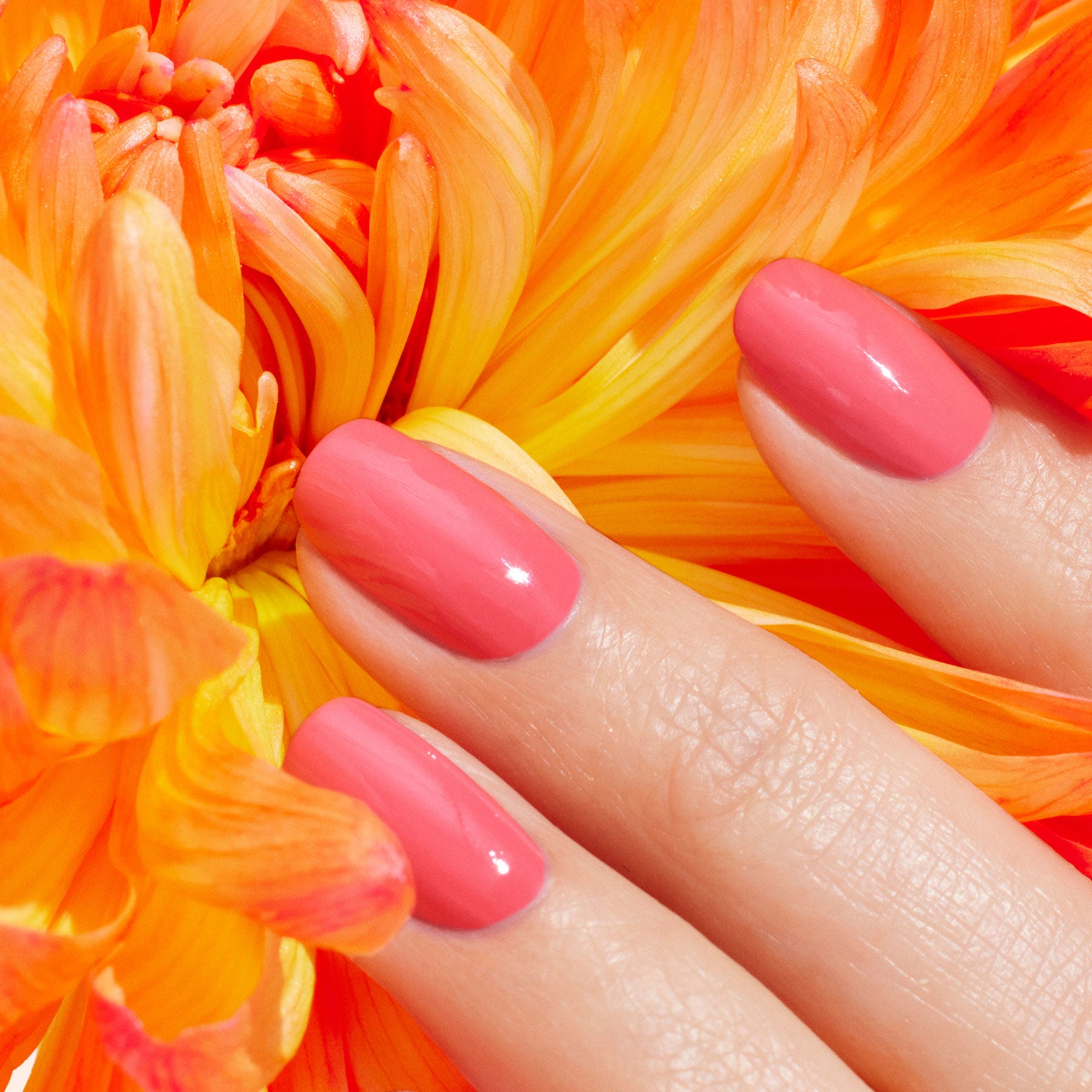 Coral pink Nail polish - Capucine | Manucurist